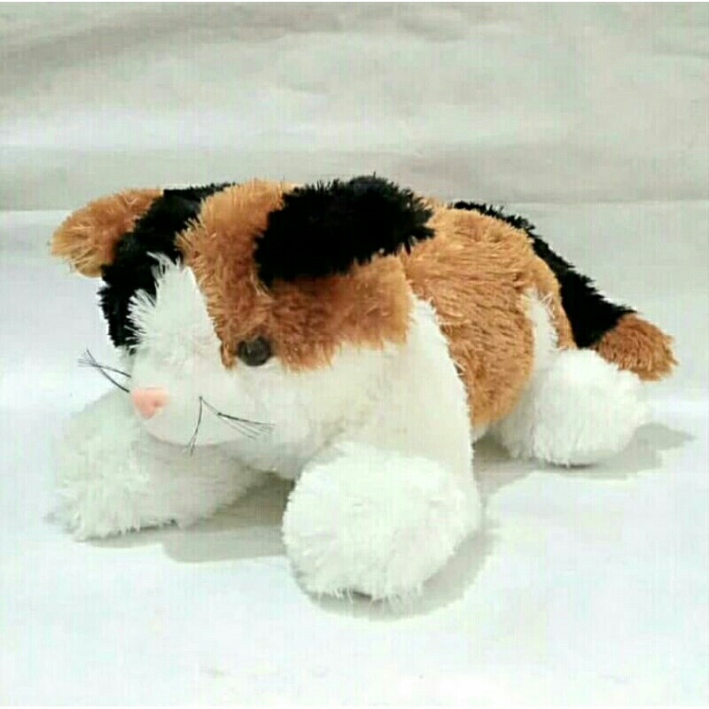 Jual Boneka Kucing cat lucu cantik esmeralda L | Shopee Indonesia