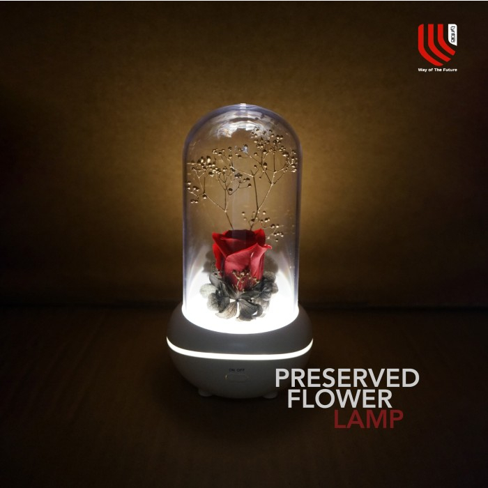 Jual Preserved Flower Smart Lamp / Lampu Aesthetic / Lampu Hias Kamar ...