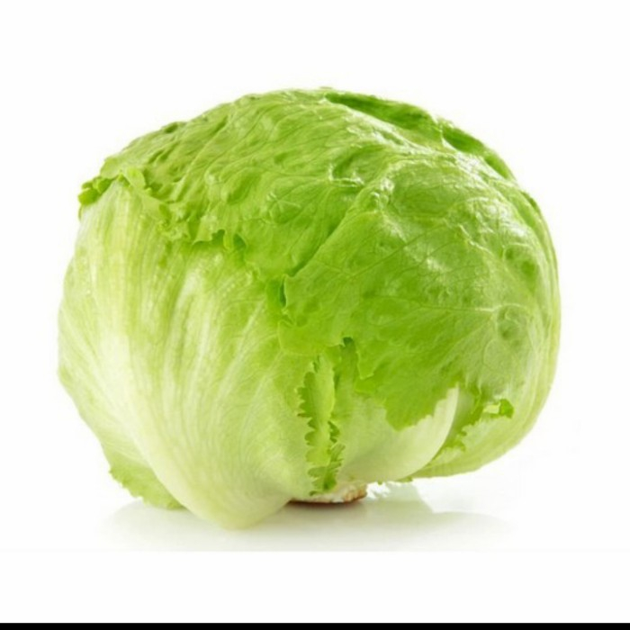 Jual Lettuce Iceberg 500 gram - 1 kg | Shopee Indonesia