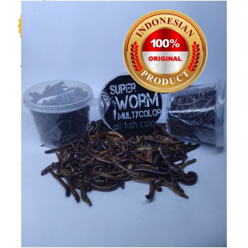 Jual ulat jerman kering/ulat jerman kering super worm/jerman kering ...