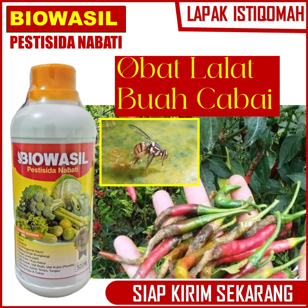 Jual Obat Anti Lalat Buah BIOWASIL ISI 500 ML - Pupuk Organik Anti ...