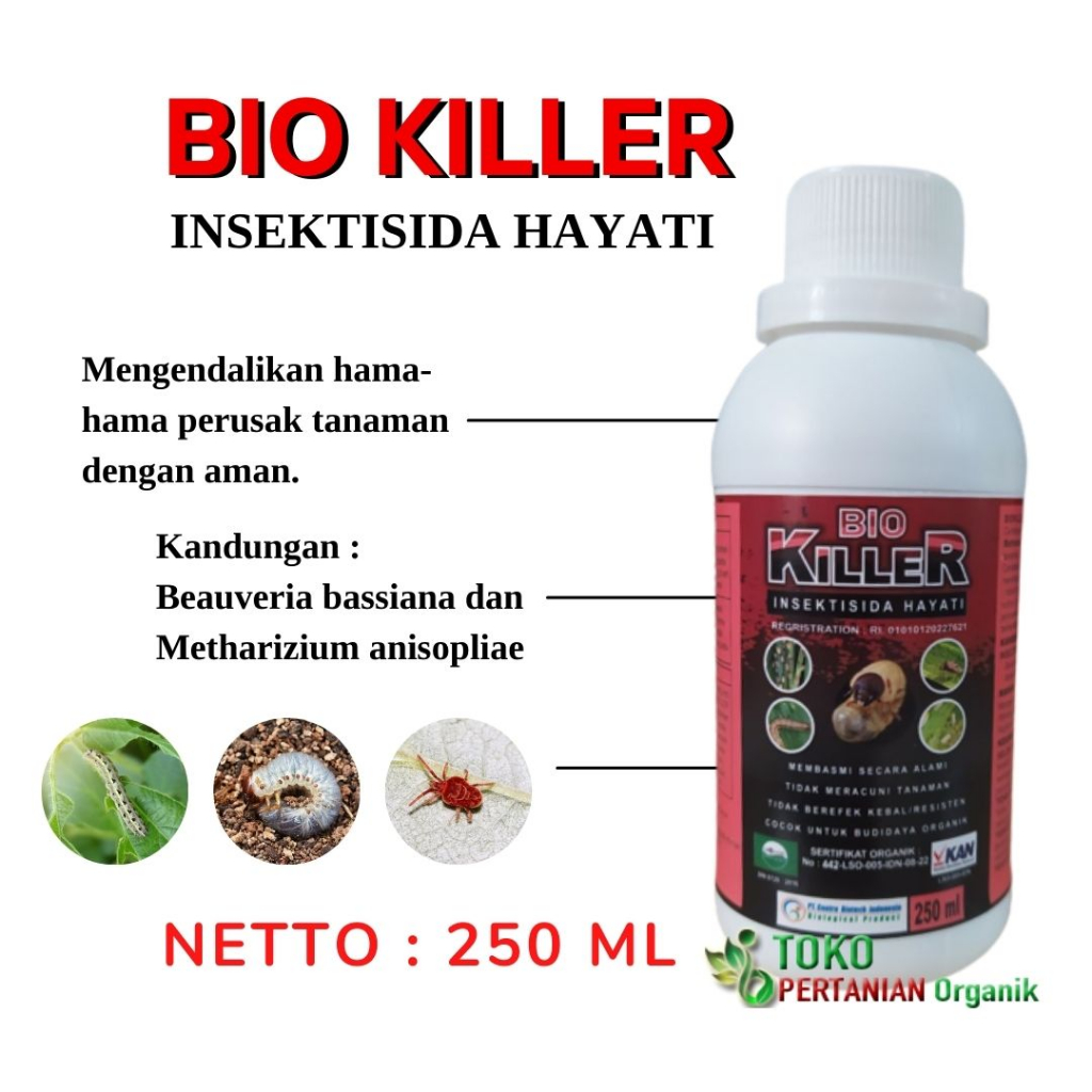 Jual Pembasmi hama cair untuk tanaman jagung, BIO KILLER atasi penyakit ...