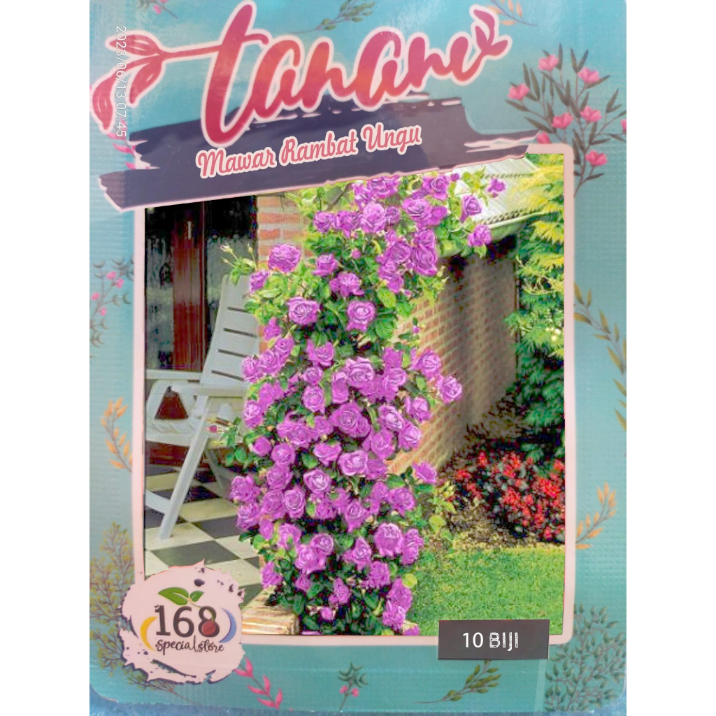 Jual Benih Bunga Mawar Rambat Ungu Import (Isi 10 biji) | Shopee Indonesia