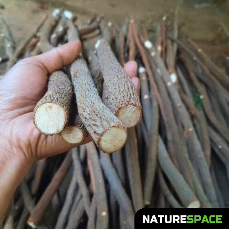 Jual BATANG KAYU ASEM UNTUK TANGKRINGAN BURUNG, SANGAT COCOK UNTUK ...