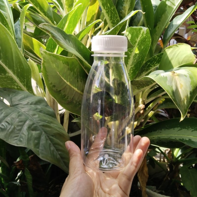 Jual Botol Cantik 350ml harga satuan | Shopee Indonesia