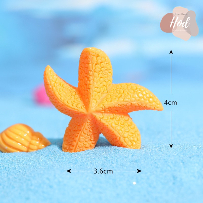 Jual Topper Kerang Bintang Laut Resin Untuk Hiasan Kue Jepit Magnet ...