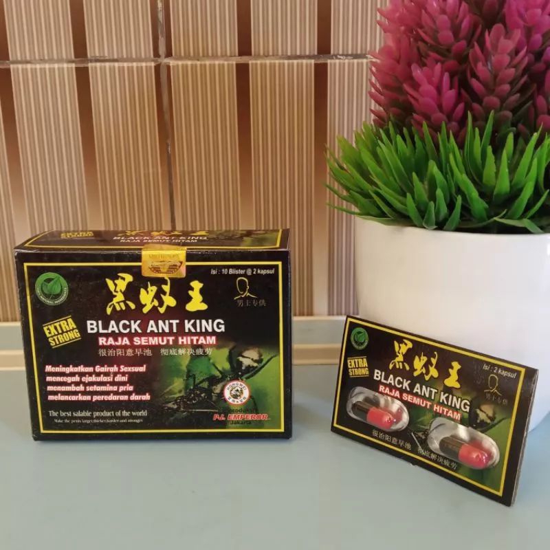 Jual Obat Kuat Kapsul Black Ant King Raja Semut Hitam Stamina Pria