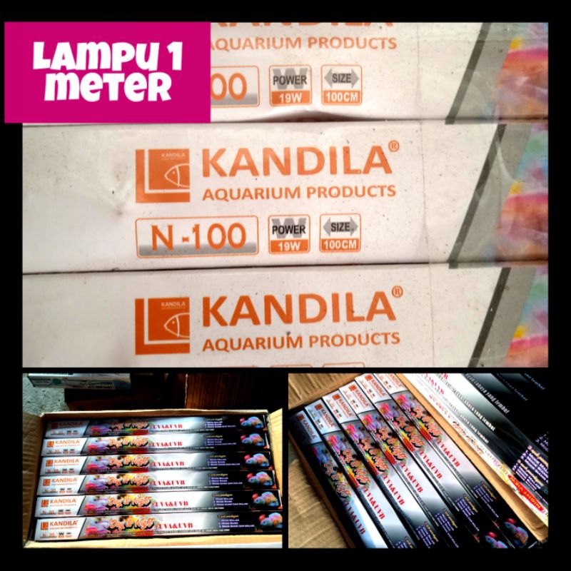 Jual Lampu kandila day and night 100 cm 80 cm 1 meter + uva uvb ...