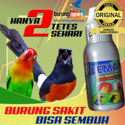 Jual Vitamin Burung dan Obat Burung Sakit LEMANS Untuk Murai Batu ...