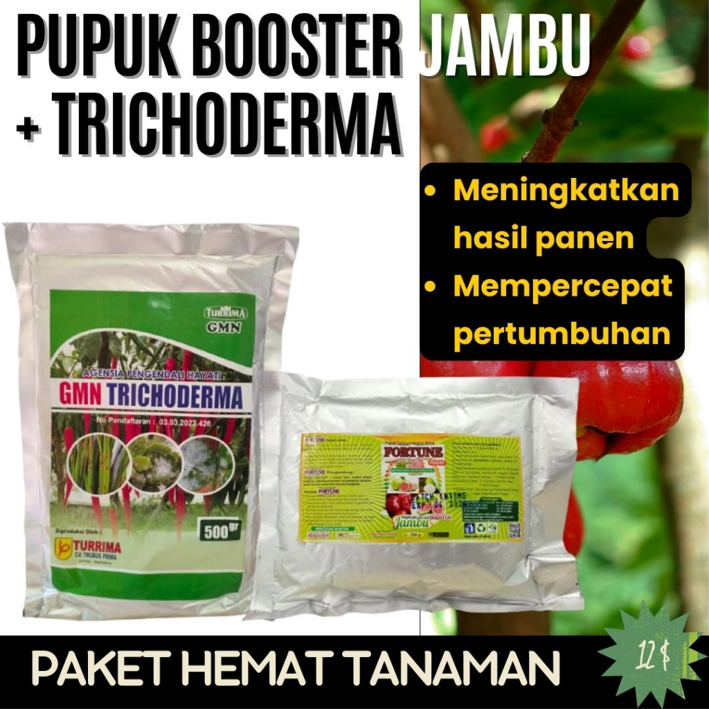 Jual Paket Pupuk Jambu Cepat Berbuah, Obat Pelebat Buah Jambu Air Agar ...