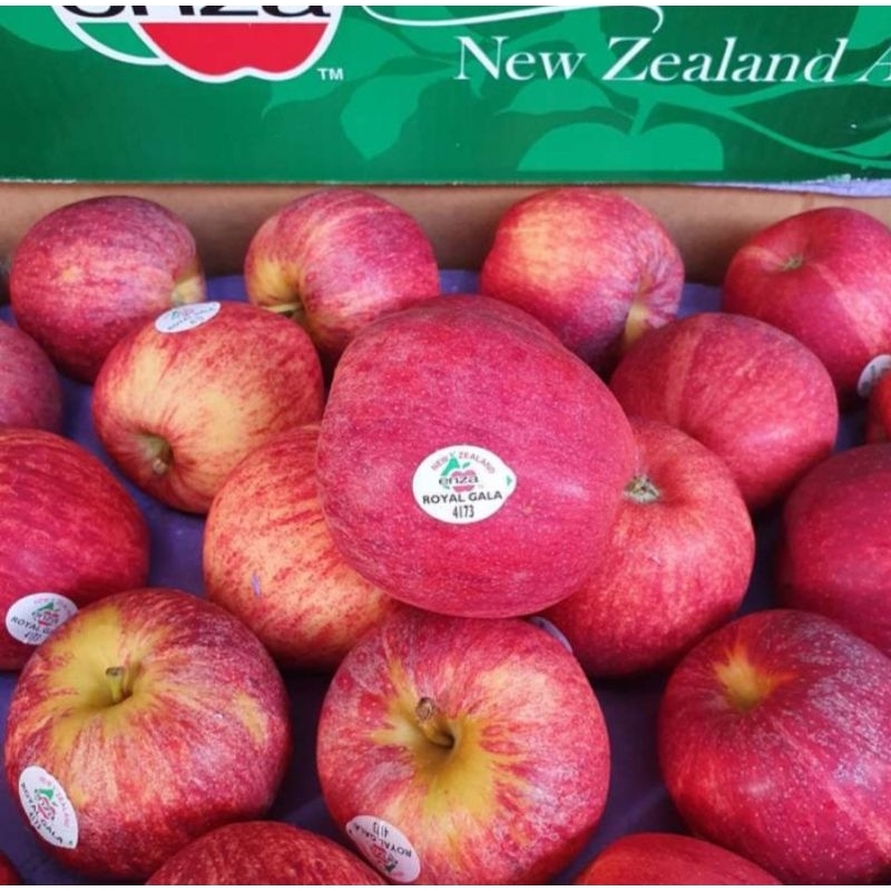 Jual Apel Royal Gala New Zealand 1 Box | Shopee Indonesia