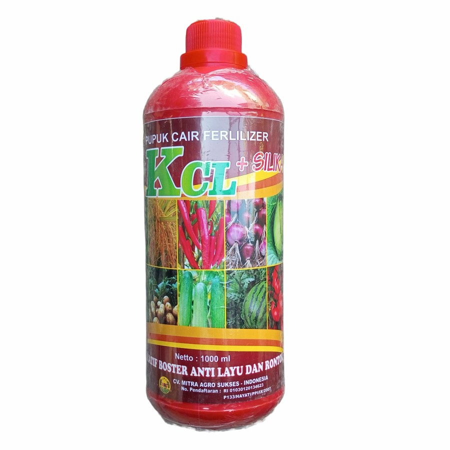 Jual Pupuk Bio KCL Cair + Silika (1 liter) CV Mutiara Agro Sukses ...