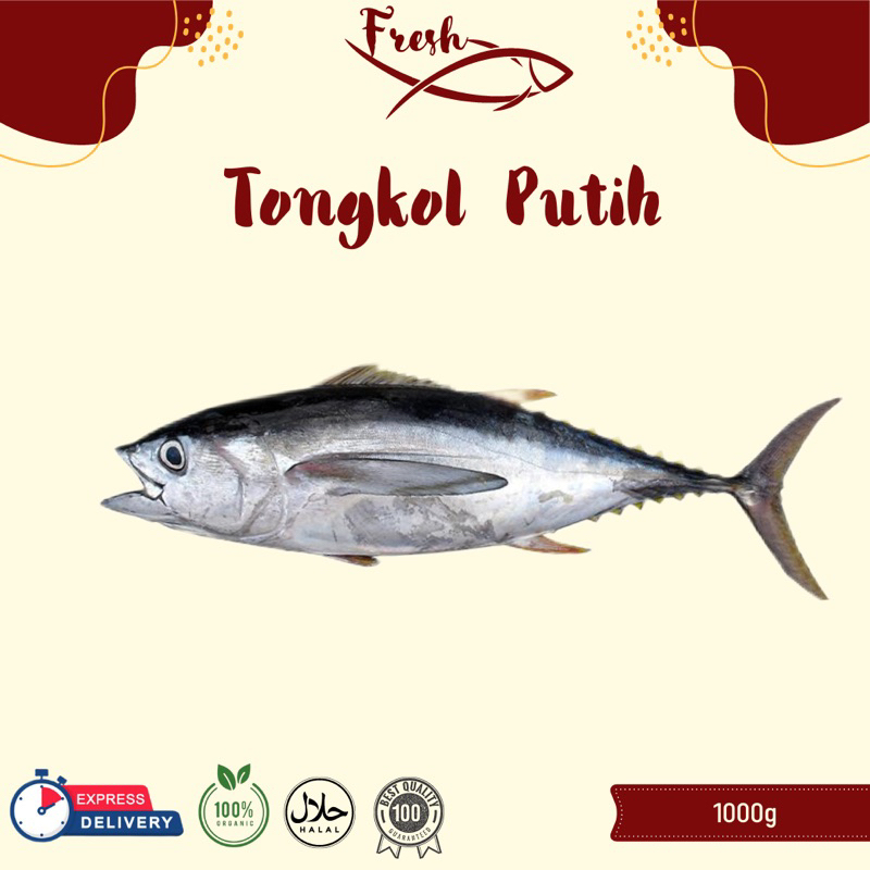 Jual IKAN TONGKOL PUTIH FRESH 1kg | Shopee Indonesia