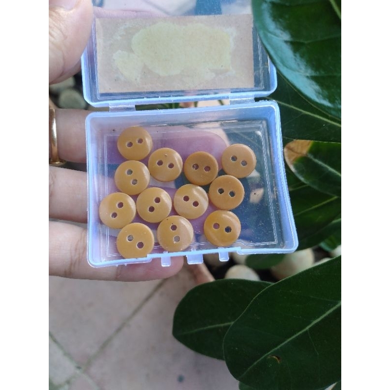 Jual BENIK / KANCING SERAGAM PRAMUKA 2 LUBANG | Shopee Indonesia