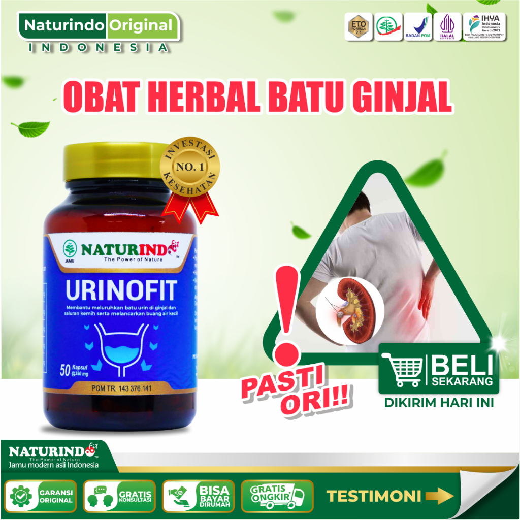 Jual Obat Batu Ginjal Herbal Anyang Anyangan Kencing Manis Kencing Infeksi Saluran Kemih ...