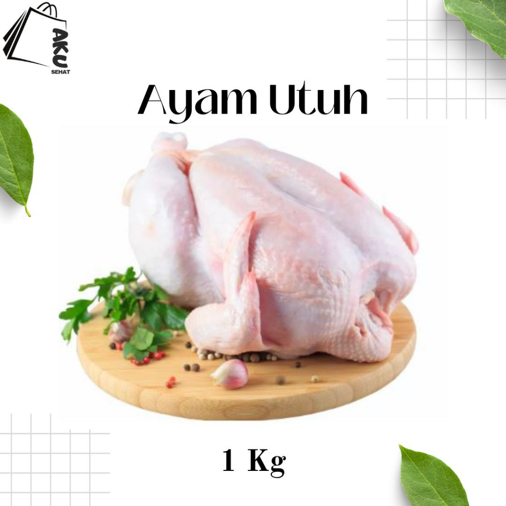 Jual Daging Ayam Utuh 1,3 - 1,5 Kg / Ayam potong termurah SE Indonesia ...