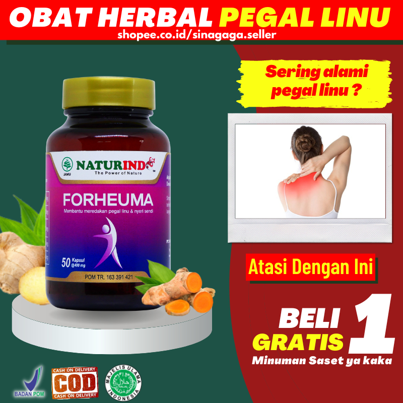 Jual Obat Herbal Pegal Linu Pegel Asam Urat Nyeri Sendi Dan Otot Sakit ...