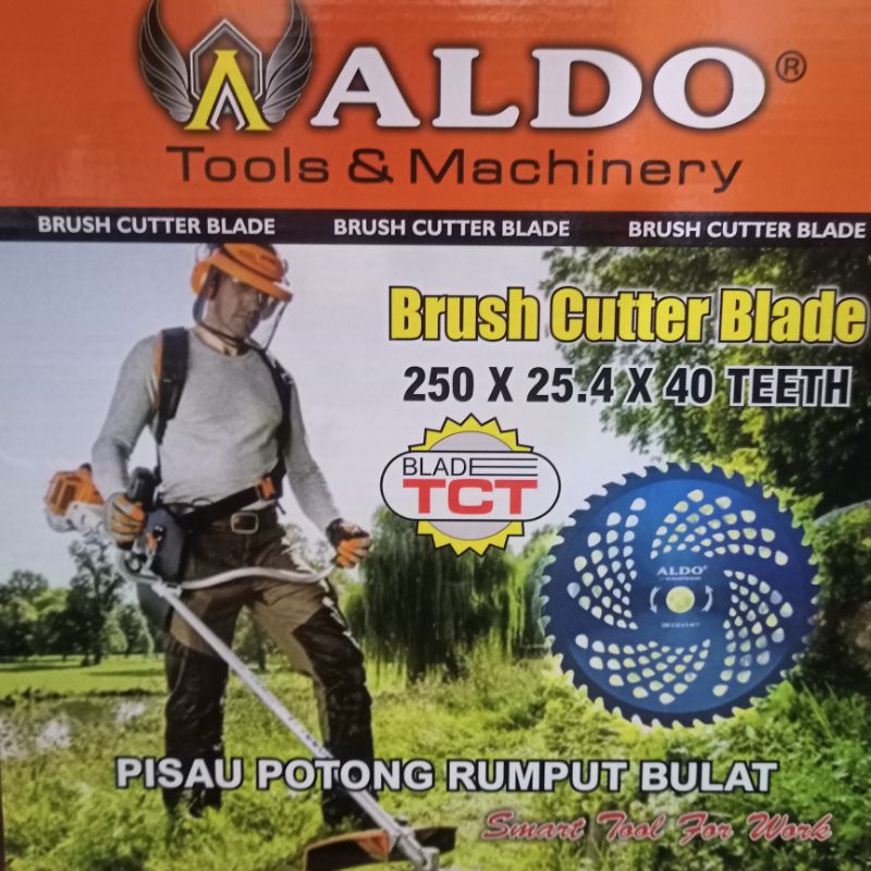 Jual Mata Pemotong Rumput TCT ALDO | Pisau Mesin Potong Rumput 250 x 25 ...