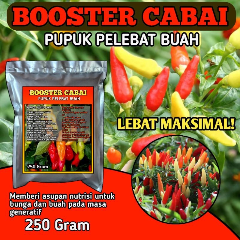 Jual Pupuk booster pelebat buah cabai nutrisi untuk bunga dan buah anti rontok kemasan 250 gram ...