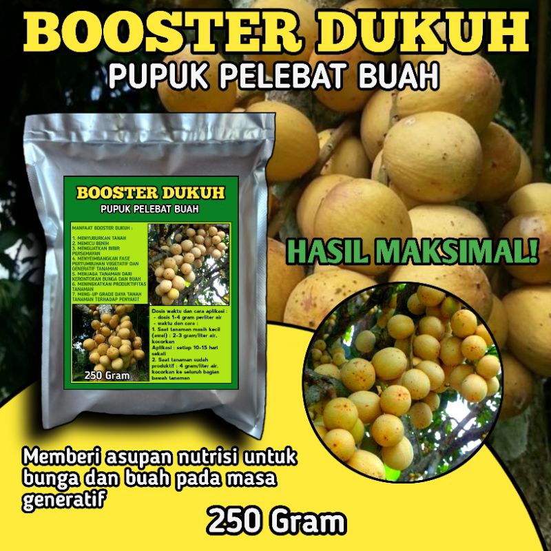 Jual Pupuk booster pelebat buah dukuh nutrisi untuk bunga dan buah anti rontok kemasan 250 gram ...