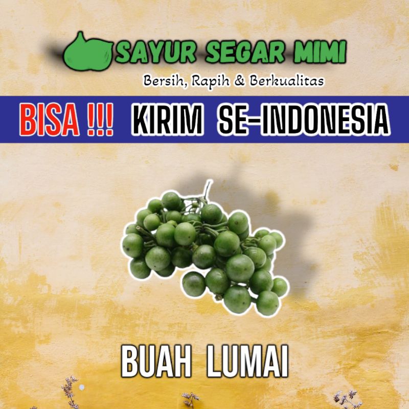 Jual Buah Leunca/ Buah Lumai 250Gram - Sayur Segar Mimi Palembang ...
