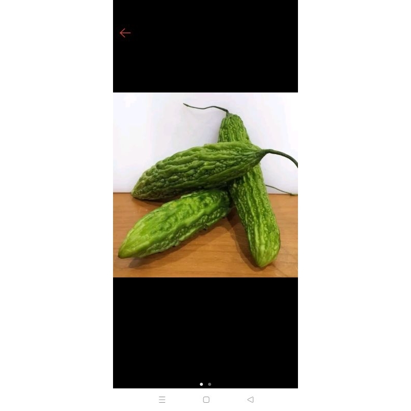Jual sayur Pare / Paria 500gr | Shopee Indonesia