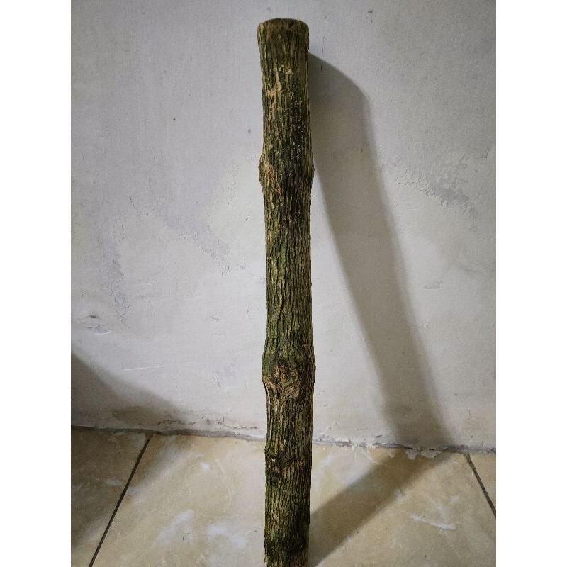 Jual media kayu kopi tebal 4cm panjang 40cm | Shopee Indonesia
