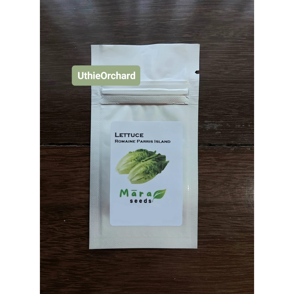 Jual Mara Seeds - Lettuce (Selada) Romaine Parris Island (350 seeds ...