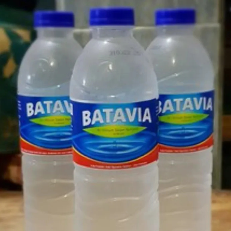 Jual Air Mineral Batavia Botol 600 ml - Dus(24 Botol) | Shopee Indonesia