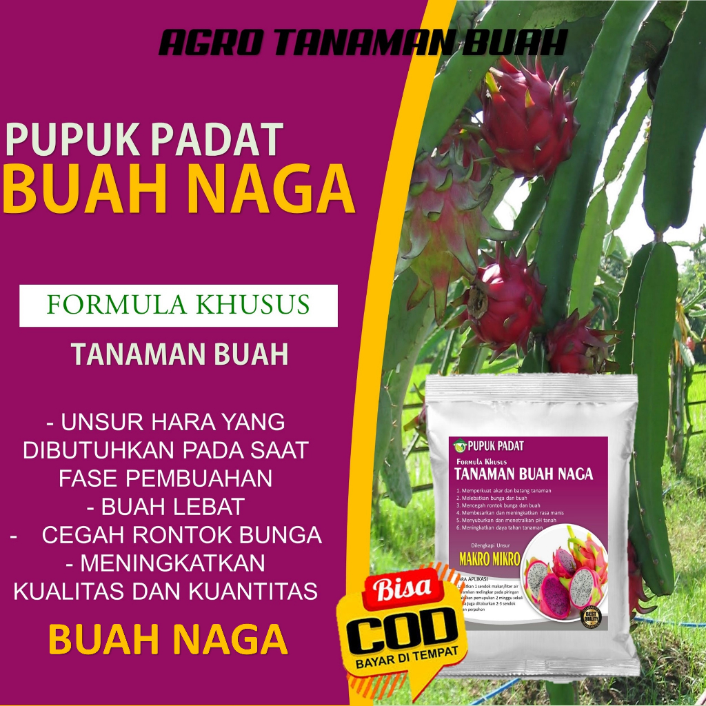Jual Pupuk Padat Tanaman Buah Naga Agar Cepat Berbuah Lebat Pelebat Buah Besar Agar tidak Rontok ...