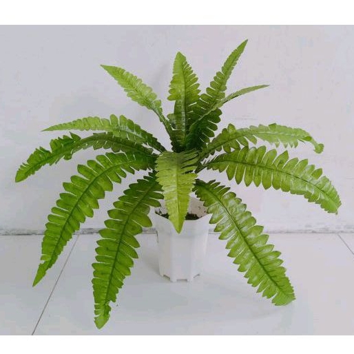 Jual POHON BOSTON PAKIS ARTIFICIAL 12 TANGKAI DENGAN POT MELAMIN TIRUS ...