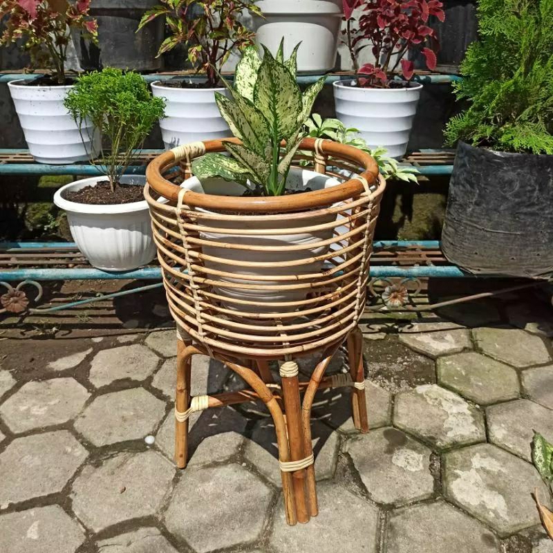 Jual Standing Pot Rotan Keranjang Pot Bunga Premium Mengkilap | Shopee ...