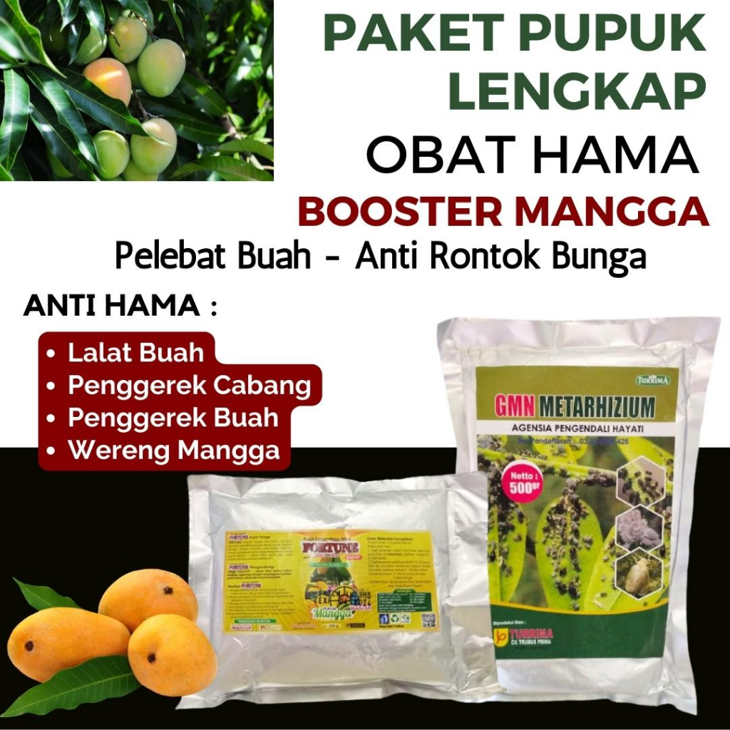Jual Obat Ulat Pohon Mangga, Pupuk Mangga Agar Cepat Berbuah, Pupuk Booster Pelebat Buah Mangga ...