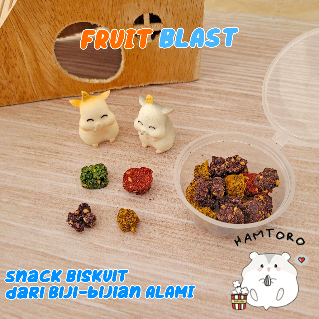 Jual Fruit Blast! Snack Hamster Multivitamin dengan Buah dan Biji Asli ...