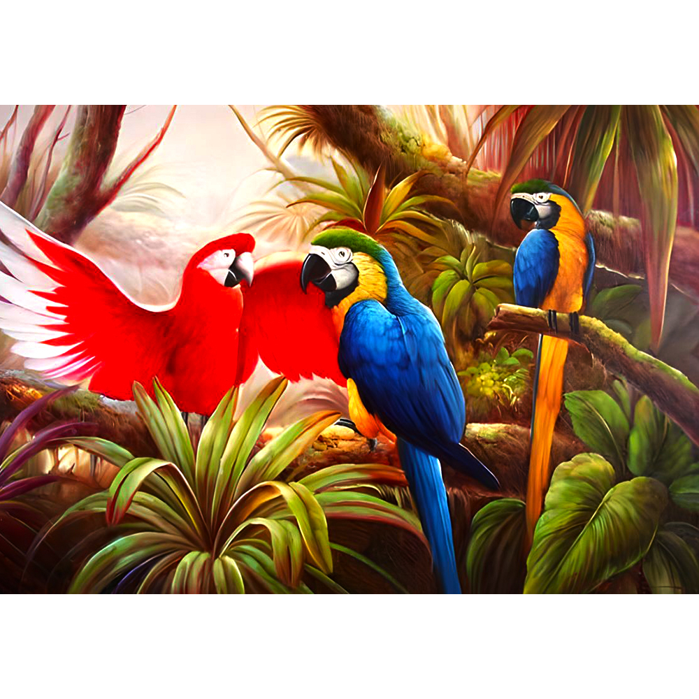 Jual Hiasan dinding Poster gambar burung parrot warna warni di atas ...