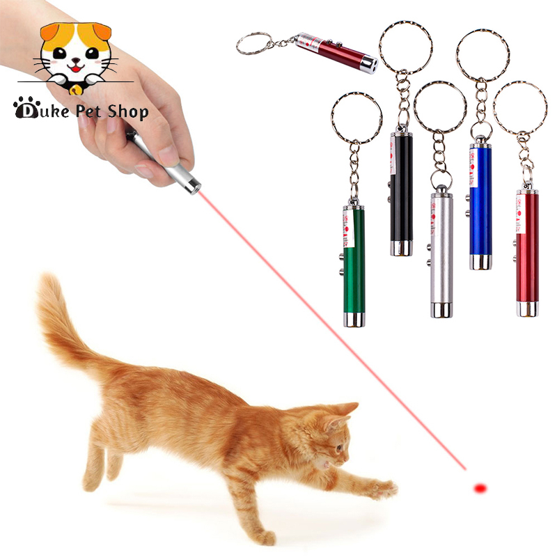 Jual 2 in 1 Laser Kucing Mainan Hewan Laser Lampu Senter Pointer Cat ...