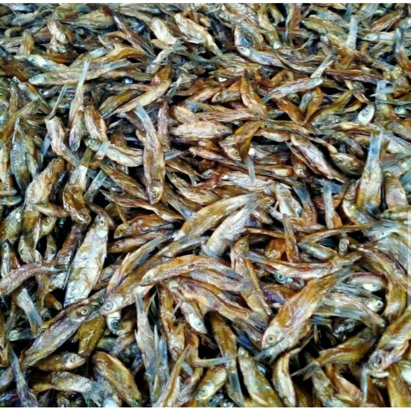 Jual 1kg salai ikan seluang | Shopee Indonesia