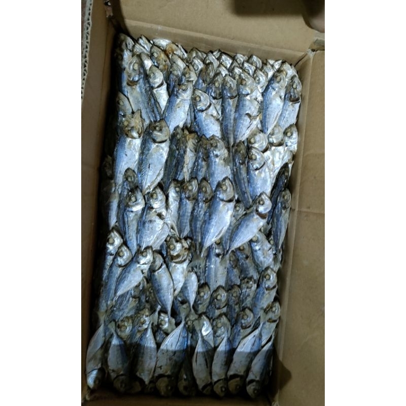 Jual ikan asin rebus Selar | Shopee Indonesia
