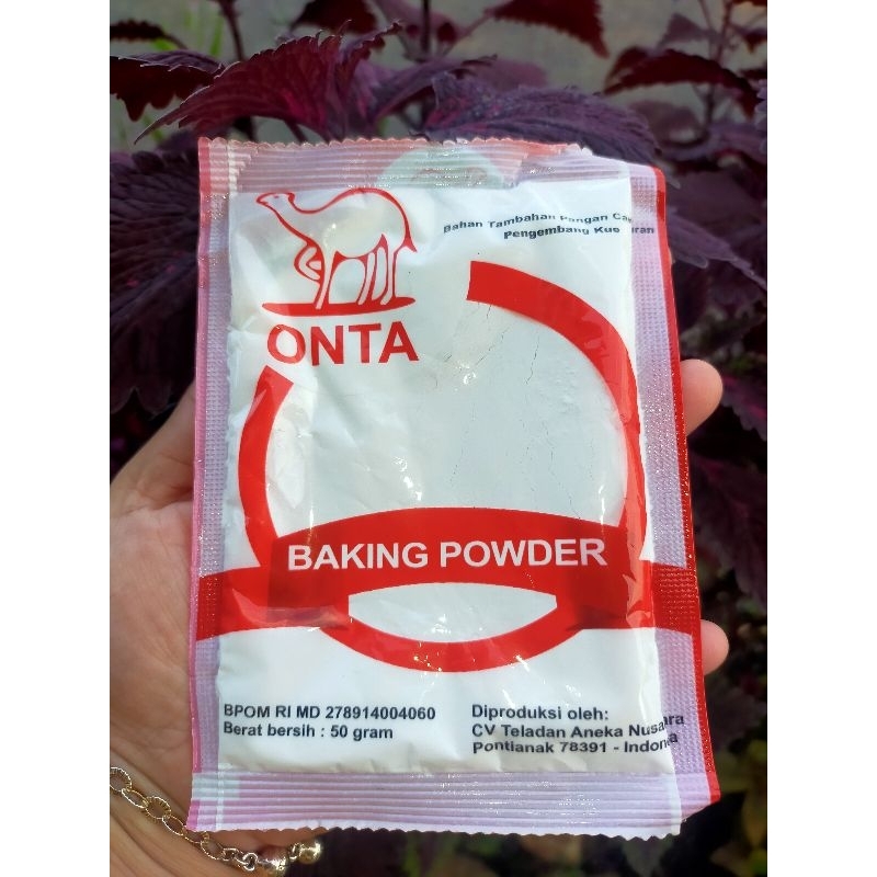 Jual Baking Powder Cap Onta 50gr | Shopee Indonesia