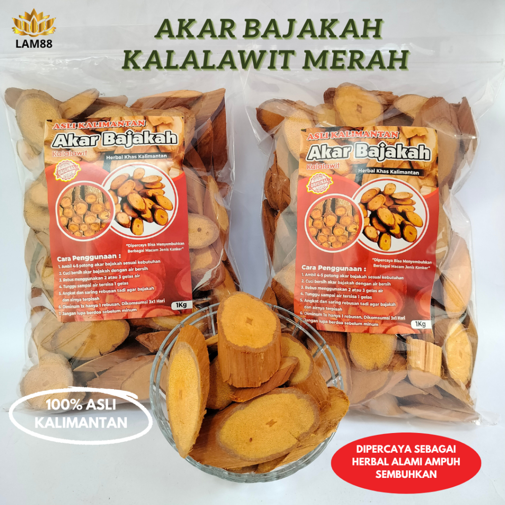 Jual AKAR KAYU BAJAKAH KALALAWIT ORIGINAL ASLI KALIMANTAN | Shopee ...