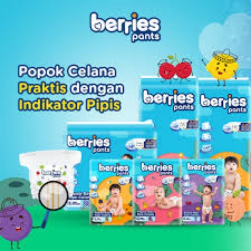 Jual BERRIES M34 L30 XL26 BABY PANTS (Popok bayi tipe Celana) | Shopee ...