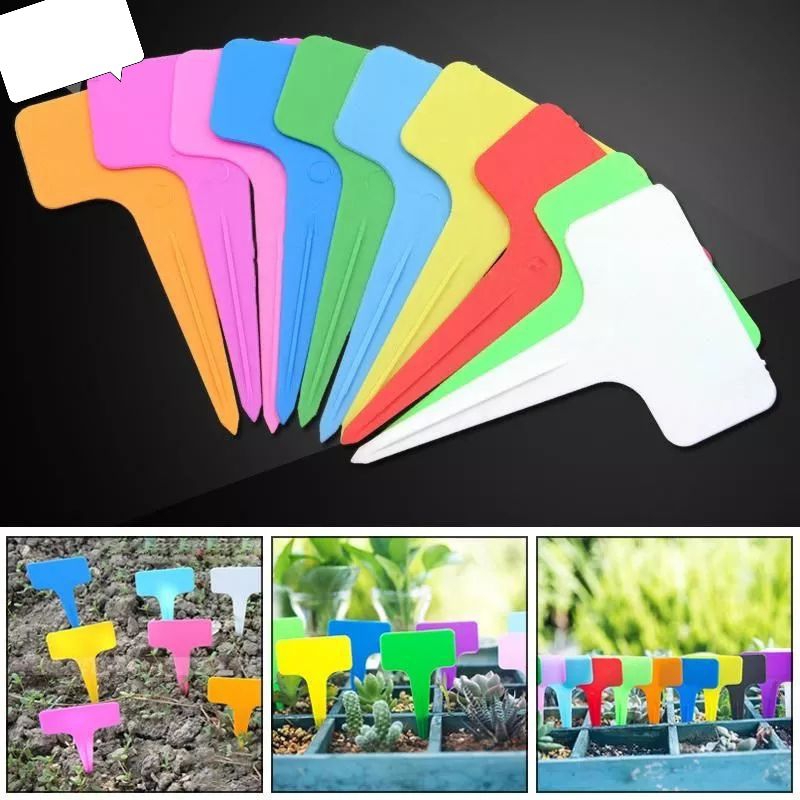 Jual Plant Label Penanda Nama Tag Tanaman Model T Warna Warni TAG HIAS MARKER SEMAI BENIH ...