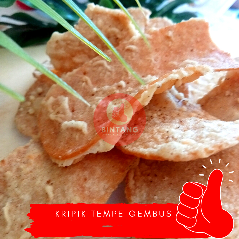 Jual Keripik Tempe Gembus / Keripik Gembus 500 gram | Shopee Indonesia