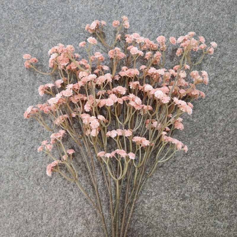 Jual Bunga Baby Breath LATEX Panjang Premium | Shopee Indonesia