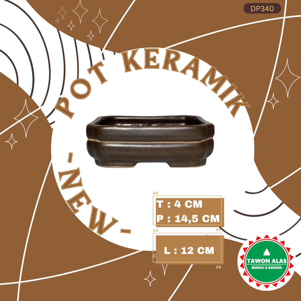 Jual Pot Keramik Bonsai Segi Empat Persegi Kecil Small Mini Mame | Shopee Indonesia