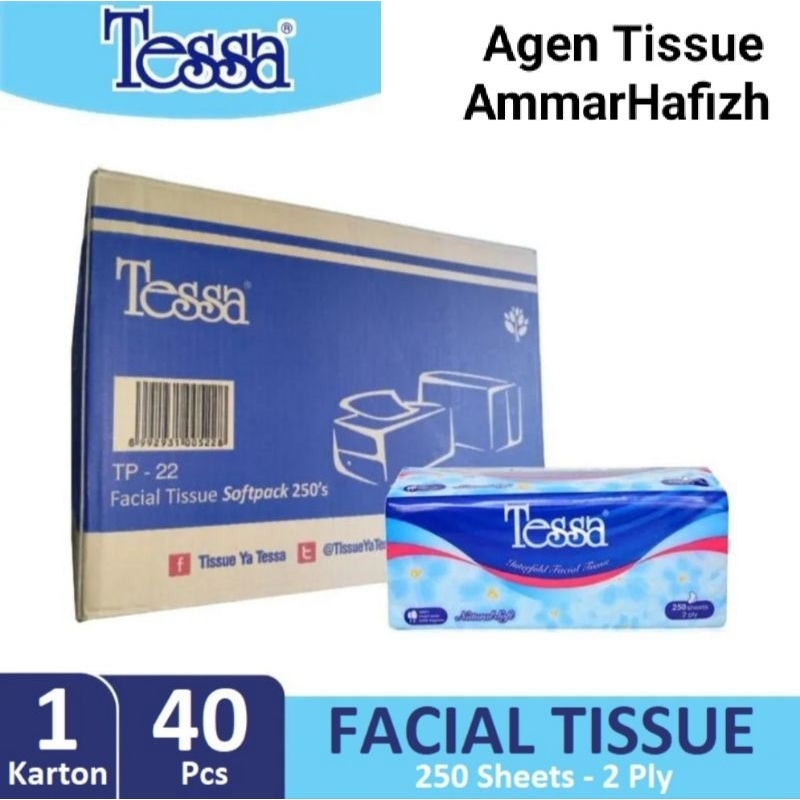 Jual Tisu Tessa 250 Sheet / 2 Ply, Tissue Facial (1 Karton - 40 Pcs ...