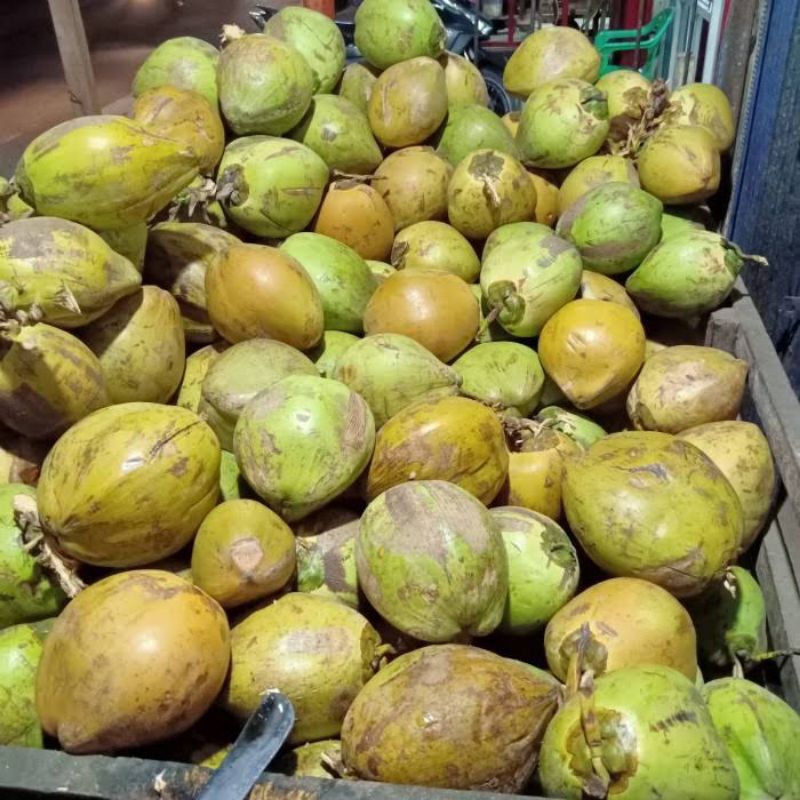Jual BUAH KELAPA TUA KUPAS | Shopee Indonesia