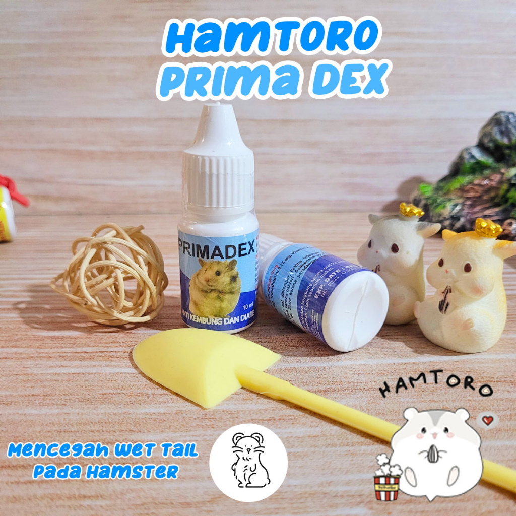 Jual Primadex Obat Kembung dan Diare Hamster Wet tail | Shopee Indonesia