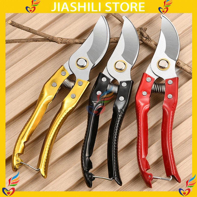 Jual Jiashili GUNTING BUNGA/GUNTING DAHAN/ Gunting Ranting BESI ...