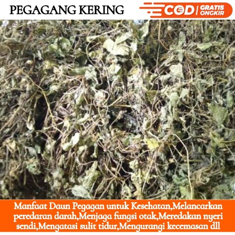 Jual RL Daun Pegagang Kering 1kg / Daun Antanan Kering / Daun Kaki Kuda ...